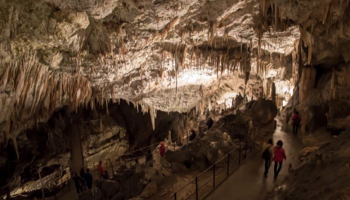 Why Slovenia should be on your Bucket List - Unforgettable Croatia ...